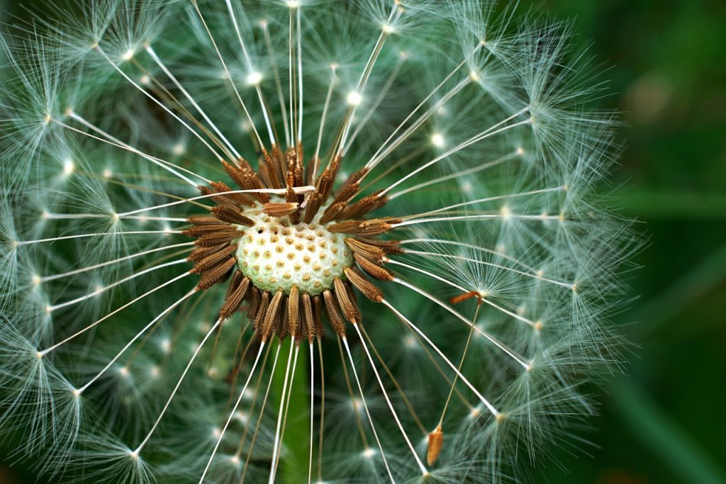 2048 eyes bigger checks with new $82m pre-seed, seed fund - AltAssets ...